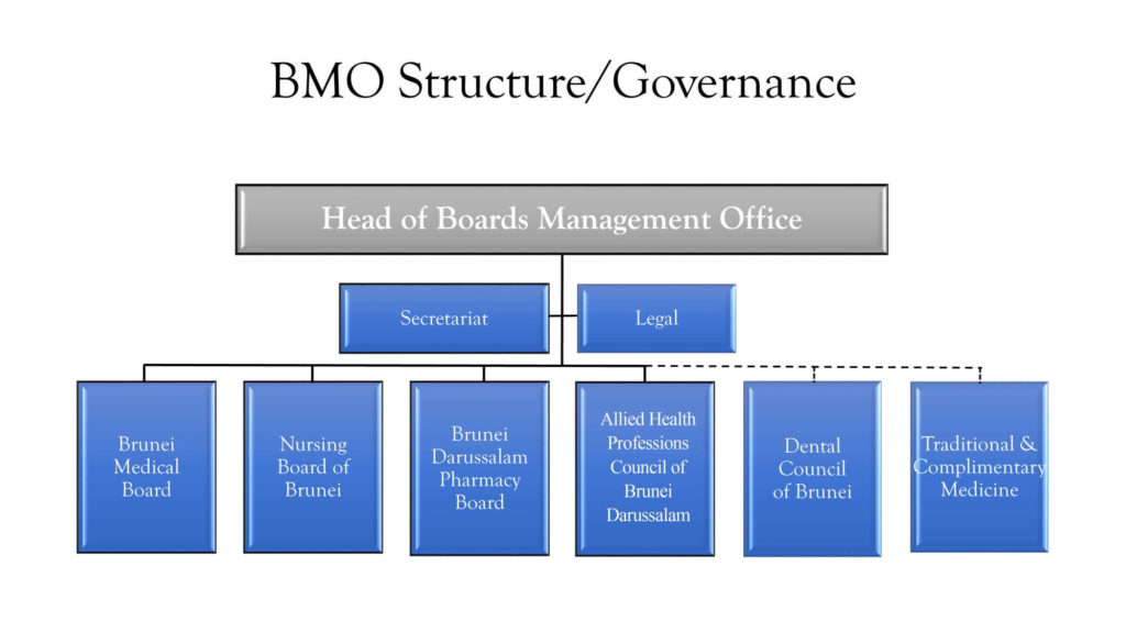 Professional Board - Ministry of Health Brunei